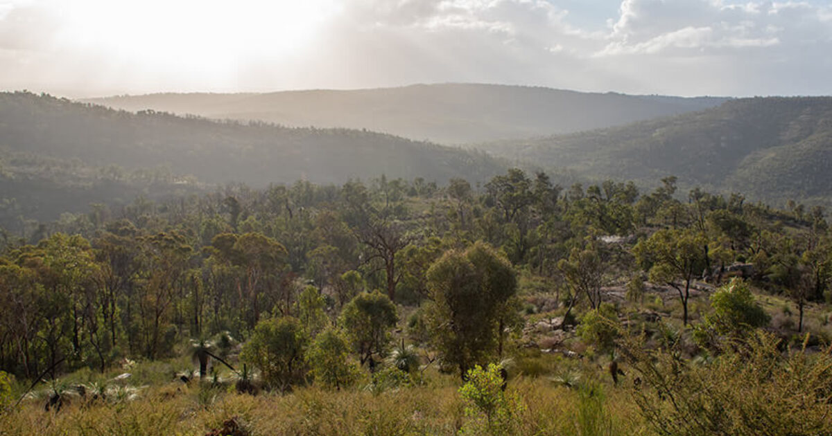 Alcoa partly halts Perth Hills exploration drilling plans